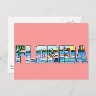 Vintage Florida Postcard | Zazzle
