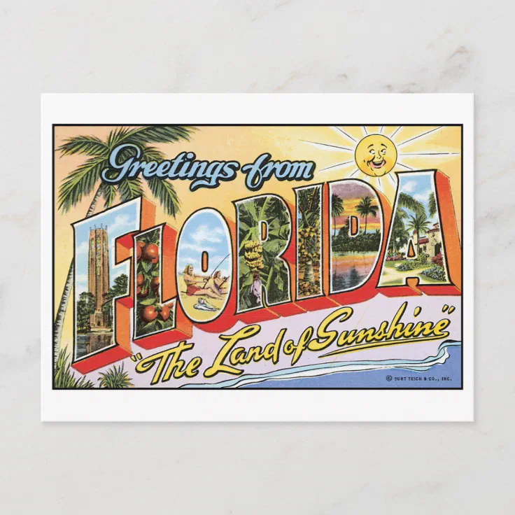 Vintage Florida Postcard | Zazzle