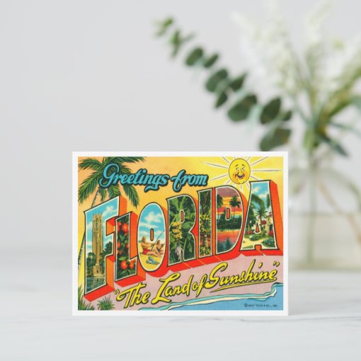 Vintage Florida Postcard | Zazzle