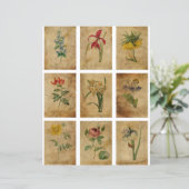 Vintage Flower ATC Cards Scrapbook Page | Zazzle