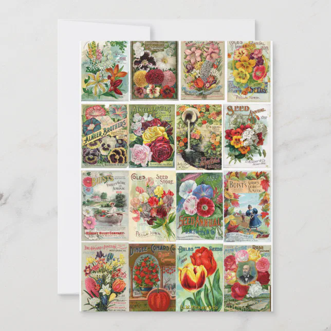 Vintage Flower Seed Catalogs Collage Invitation | Zazzle