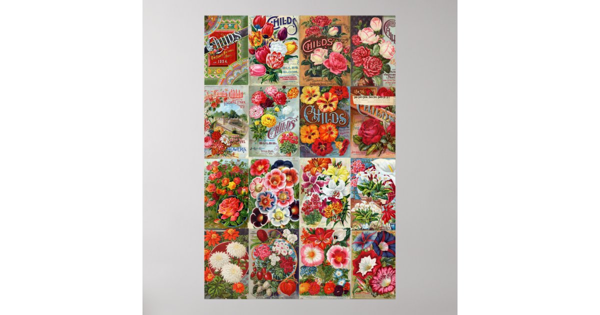 Vintage Flower Seed Packets Garden Collage Poster | Zazzle
