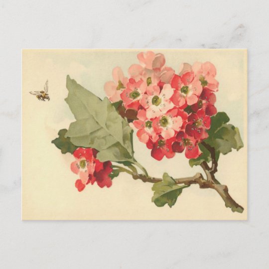 Vintage Flowering Tree Postcard | Zazzle.com
