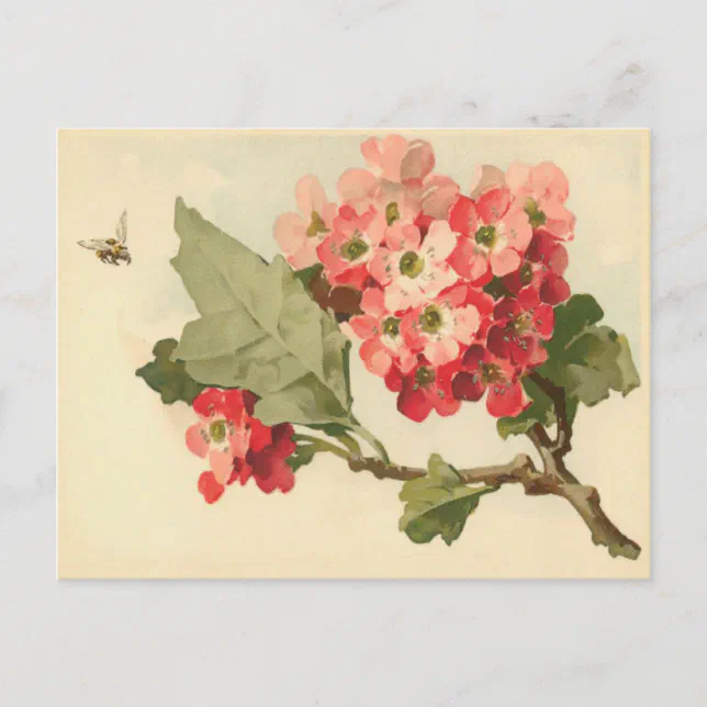 Vintage Flowering Tree Postcard | Zazzle
