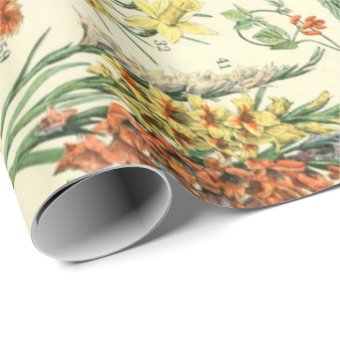 Vintage Flowers Antique Botanical Floral Wrapping Paper | Zazzle