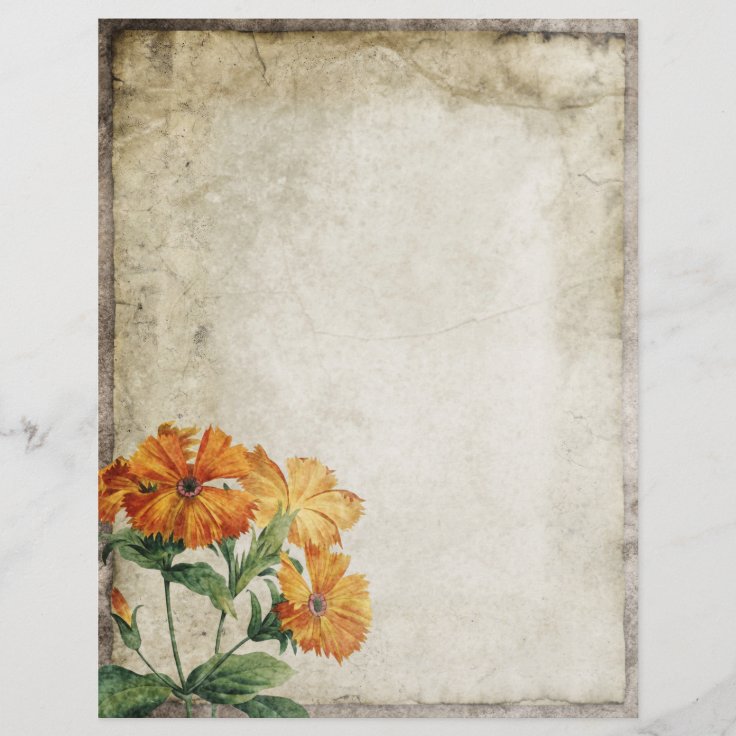 Vintage Flowers Old Parchment Scrapbook Paper | Zazzle