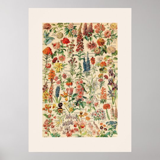 Vintage Flowers Poster | Zazzle.com