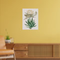 Vintage Flying Squirrel Illustration Poster | Zazzle