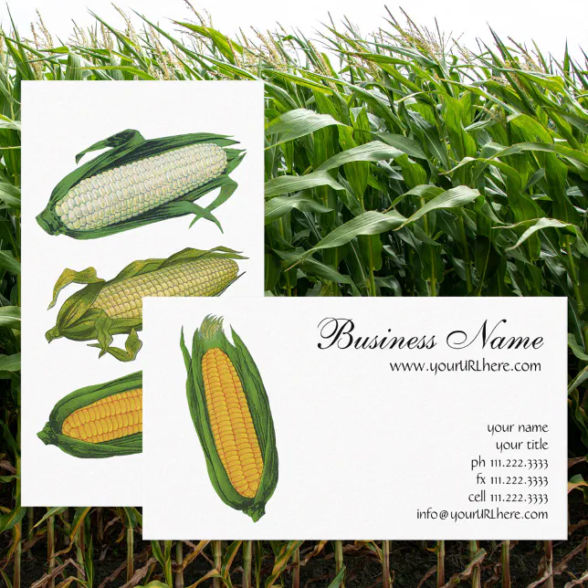 Vintage Food Vegetables; Yellow Corn on the Cob Business Card | Zazzle