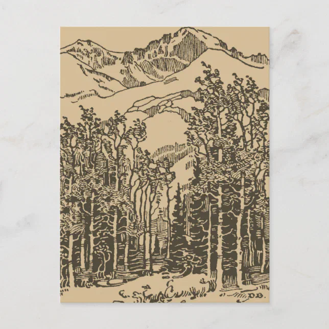 Vintage Forest Postcard | Zazzle