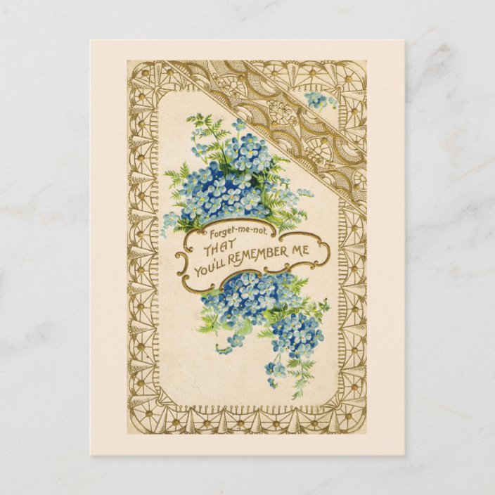 Vintage Forget-Me-Not Postcard | Zazzle.com