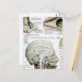 Vintage French Anatomy Postcard | Zazzle