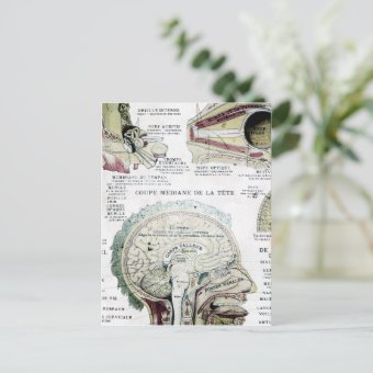 Vintage French Anatomy Postcard | Zazzle