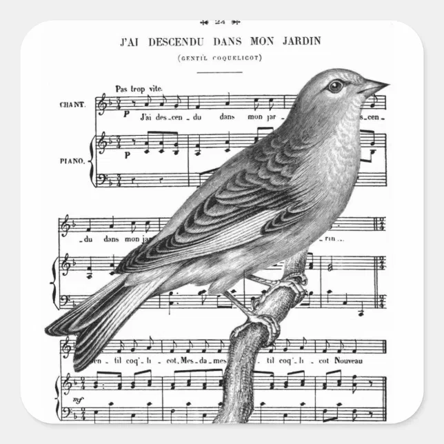 Vintage French Bird Song Music Square Stickers | Zazzle