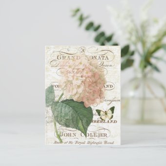 Vintage French Botanical hydrangea postcard | Zazzle