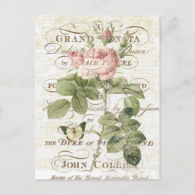 Vintage French Botanical rose postcard | Zazzle