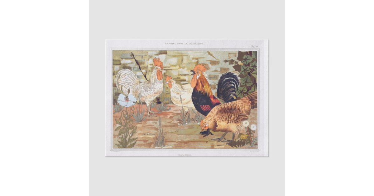 Vintage French Chickens Tissue Paper | Zazzle