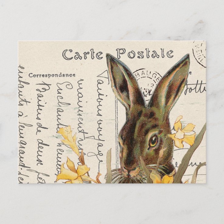 Vintage French Easter Rabbit Daffodil Postcard | Zazzle