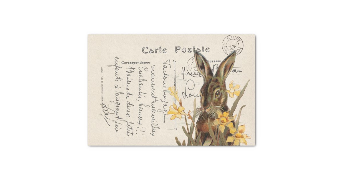 Vintage French Easter Rabbit Daffodil Postcard Tissue Paper | Zazzle