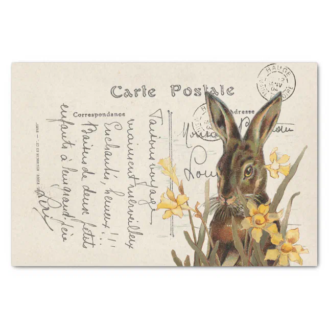 Vintage French Easter Rabbit Daffodil Postcard Tissue Paper | Zazzle