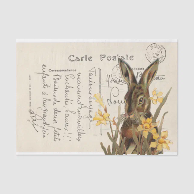 Vintage French Easter Rabbit Daffodil Postcard Tissue Paper | Zazzle