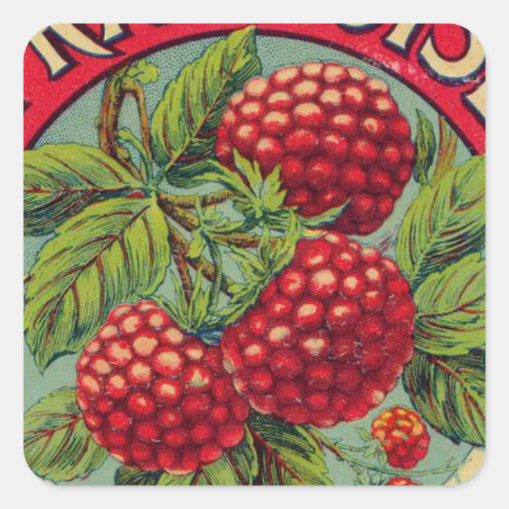 Vintage French Fruit Poster Square Sticker | Zazzle