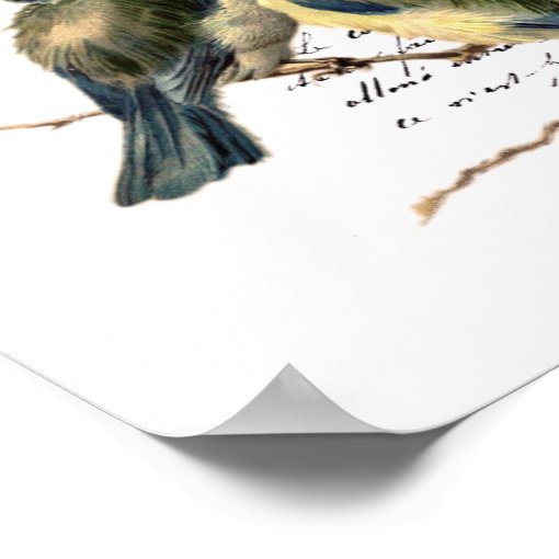 Vintage French Letter and Birds Poster | Zazzle