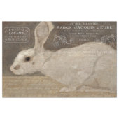 Vintage French Rabbit and Ephemera Decoupage Tissue Paper | Zazzle