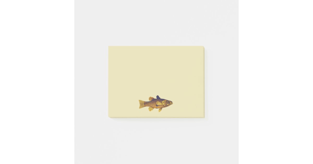 Vintage Freshwater Fish Ilustration Post-it Notes | Zazzle