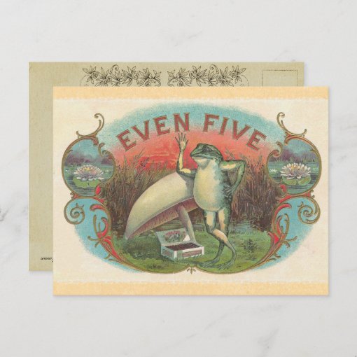 Vintage Frog Postcard | Zazzle