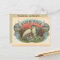 Vintage Frog Postcard | Zazzle