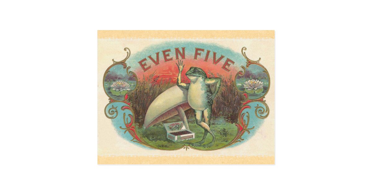 Vintage Frog Postcard | Zazzle.com