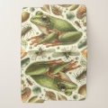 Vintage Frog Seamless Watercolor File Folder | Zazzle