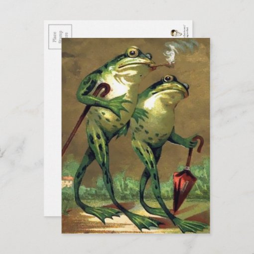 Vintage Frogs Postcard | Zazzle