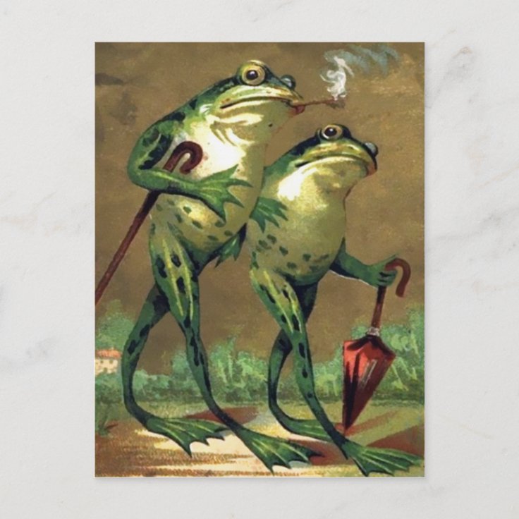 Vintage Frogs Postcard | Zazzle