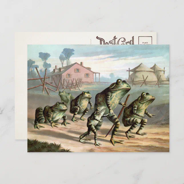 Vintage Frogs Postcard | Zazzle