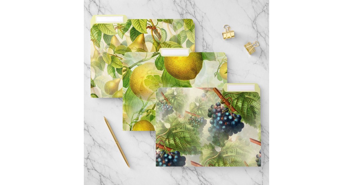 Vintage Fruit Patterns Decorative File Folder | Zazzle