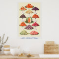 Vintage Fruit Poster | Zazzle