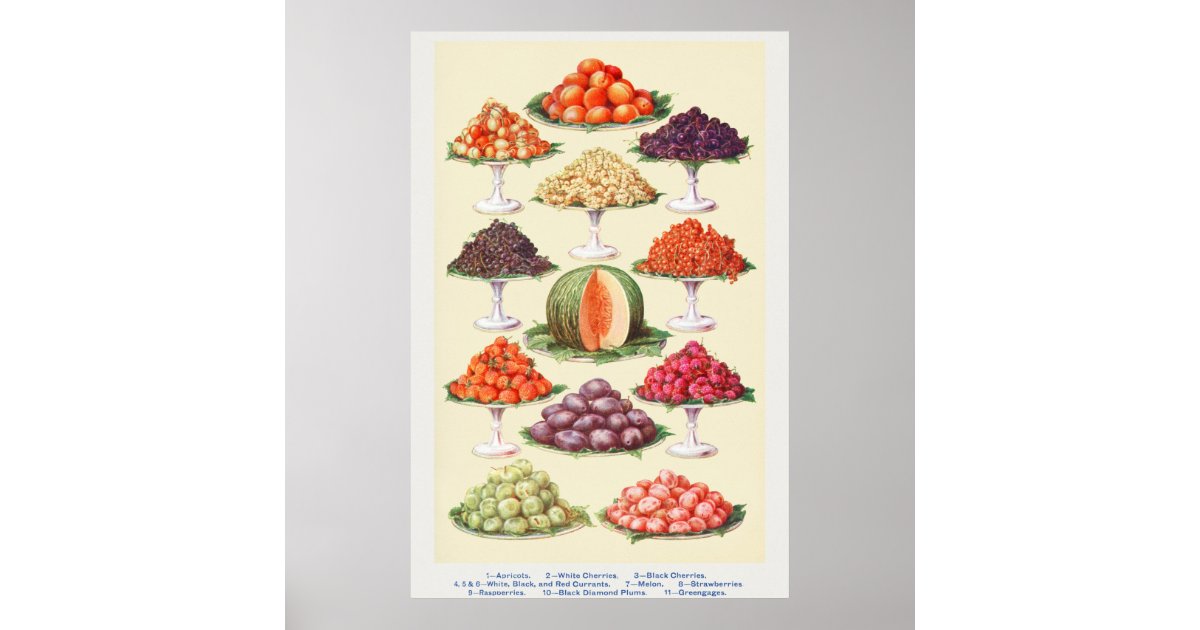 Vintage Fruit Poster | Zazzle
