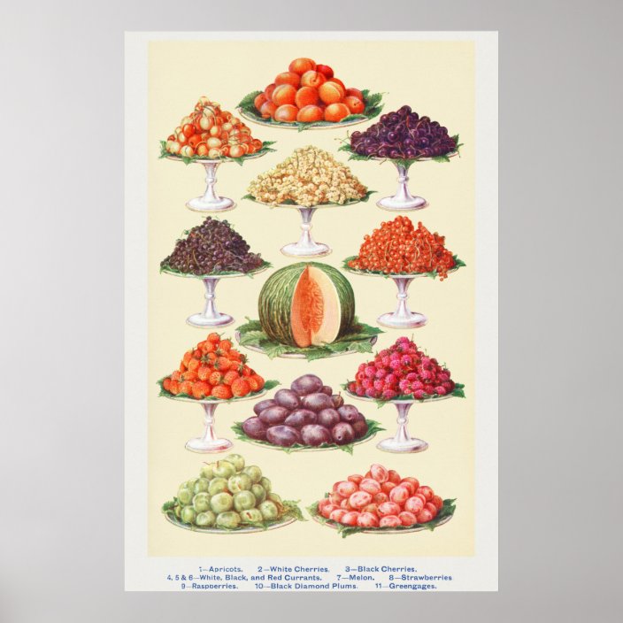 Vintage Fruit Poster | Zazzle.com