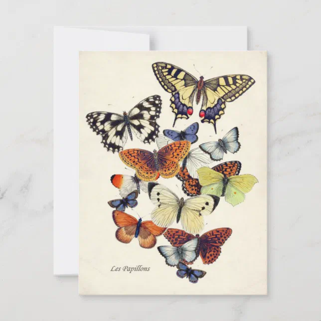 Vintage Garden Butterflies Card | Zazzle