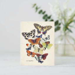 Vintage Garden Butterflies Card | Zazzle