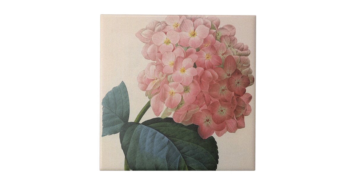 Vintage Garden Flowers, Pink Hydrangea Hortensia Tile | Zazzle