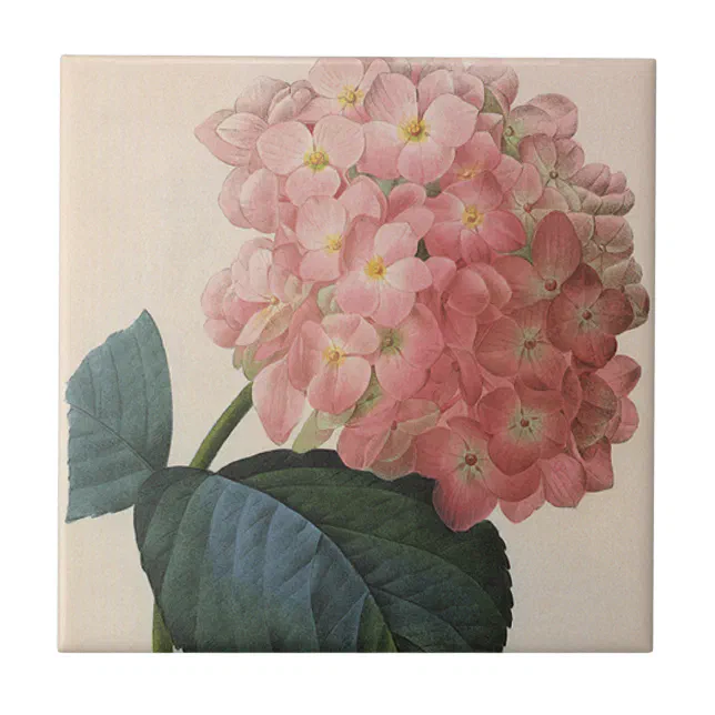Vintage Garden Flowers, Pink Hydrangea Hortensia Tile | Zazzle