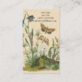 Vintage Garden Insects, Butterflies, Caterpillars Business Card | Zazzle