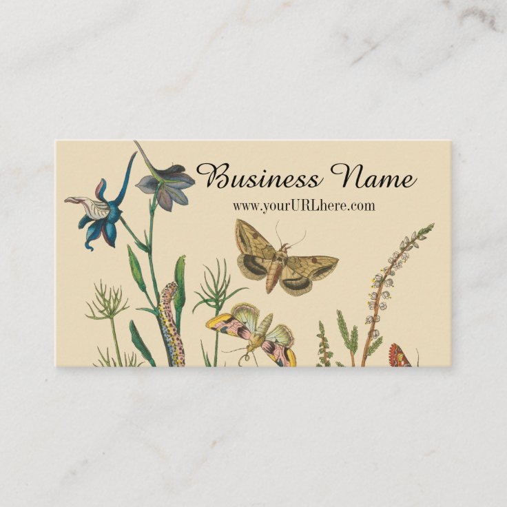 Vintage Garden Insects, Butterflies, Caterpillars Business Card | Zazzle