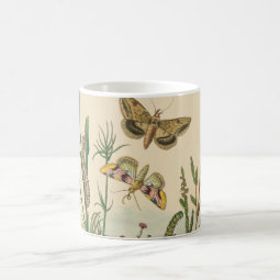 Vintage Garden Insects, Butterflies, Caterpillars Coffee Mug | Zazzle