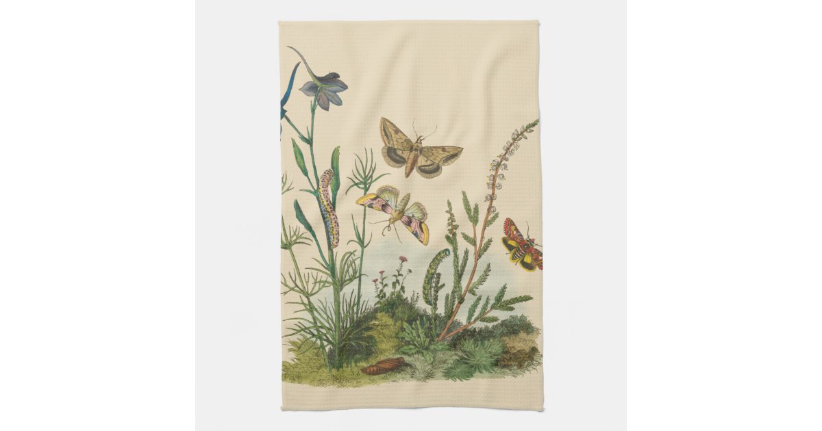Vintage Garden Insects, Butterflies, Caterpillars Kitchen Towel | Zazzle