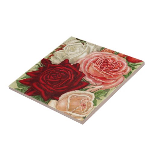 Vintage Gardening Roses Ceramic Tile | Zazzle