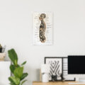 Vintage German Human Anatomy Chart | Zazzle